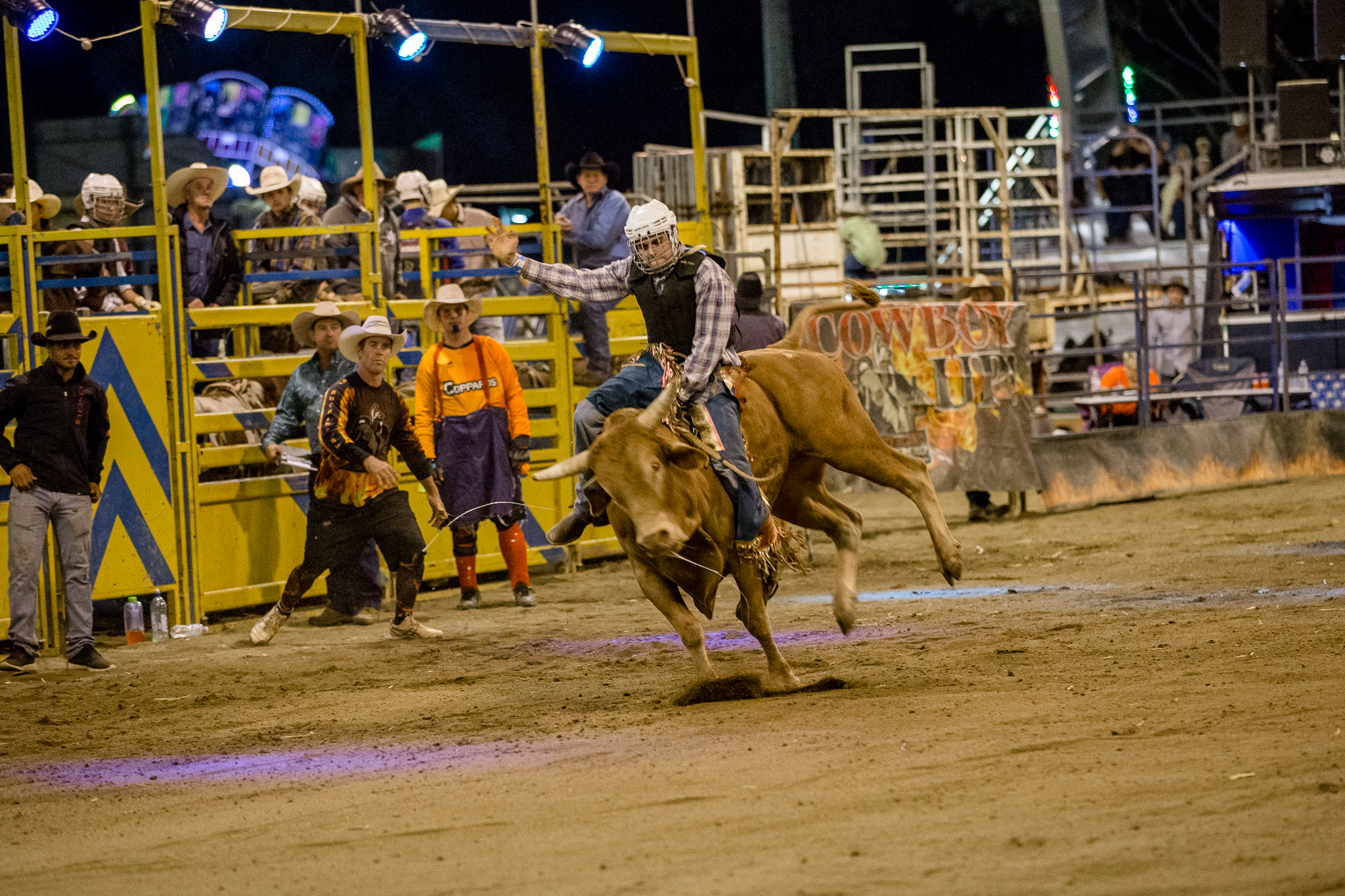 Dalby & District Show Society