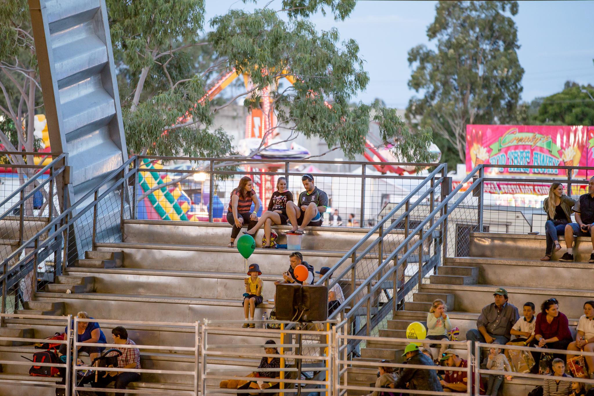 Dalby & District Show Society