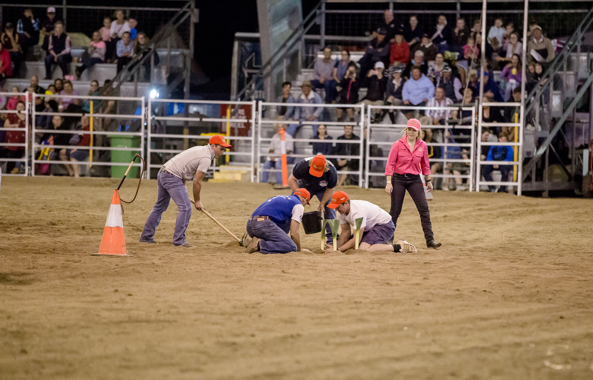 Dalby & District Show Society