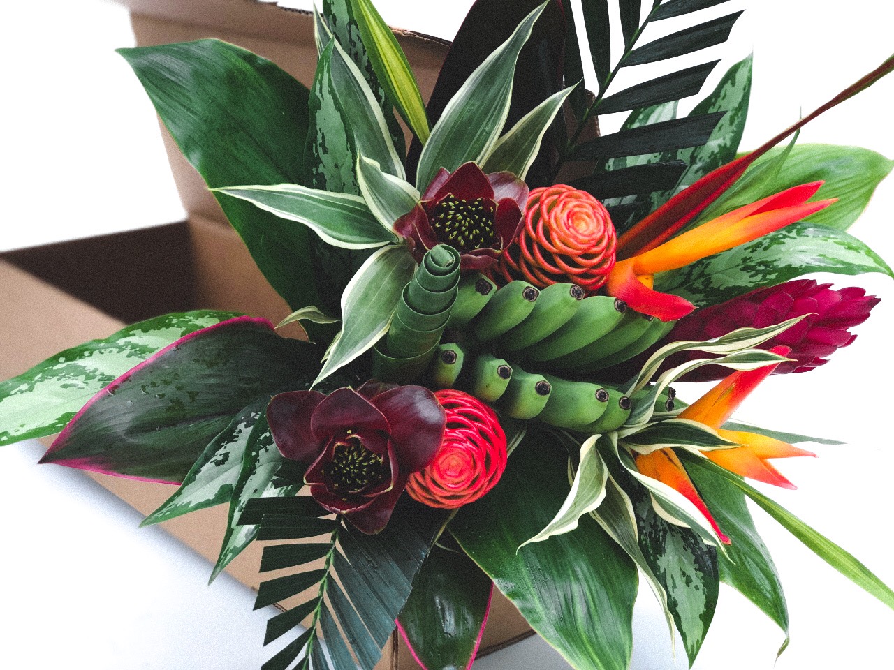 Novelties | magicflowers
