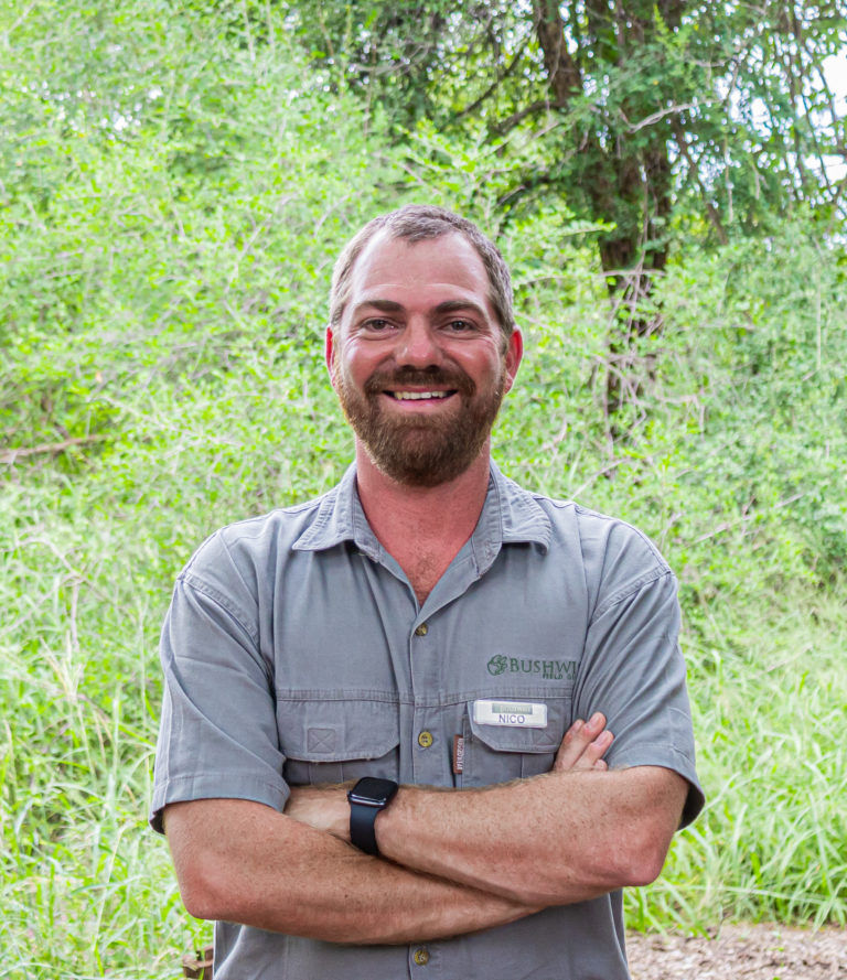 Field Guide Course | 60 Days to Study Wildlife