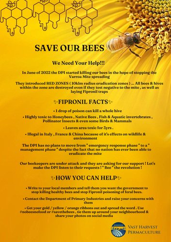 Bee Brochure 2 | VAST HARVEST