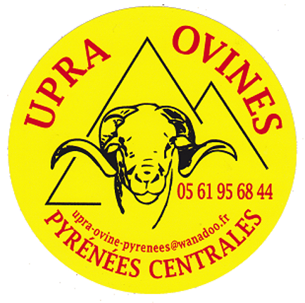 Accueil | UPRA site officiel