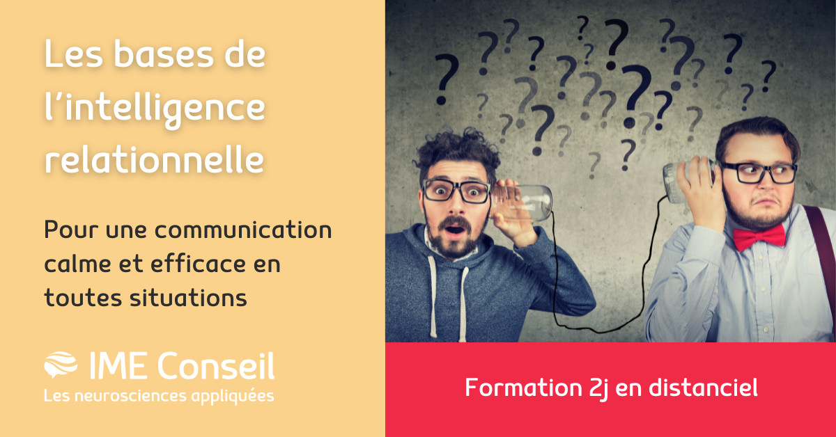 Formation aux bases de l'intelligence relationnelle | IME Conseil