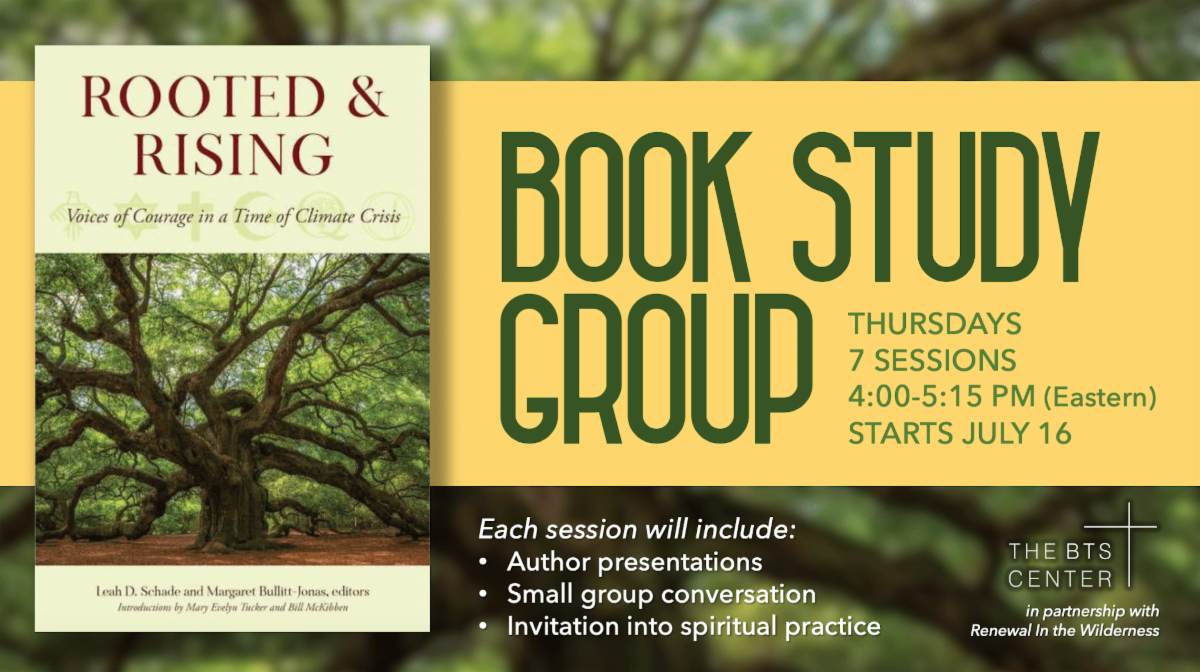 Online Book Study: Rooted and Rising - Voices of Courage in a Time of ...