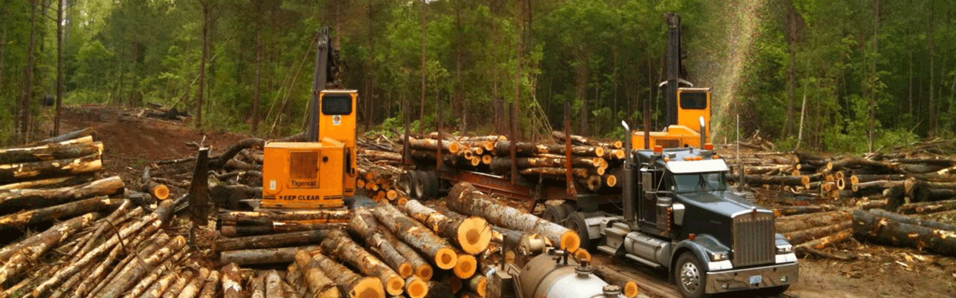 HertzWood | US Wood Logs/Lumbers | Michigan South Lyon