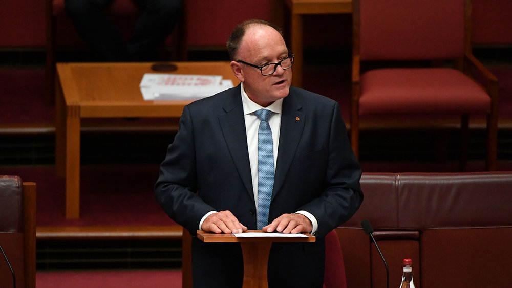 Soldier turned senator gives maiden speech