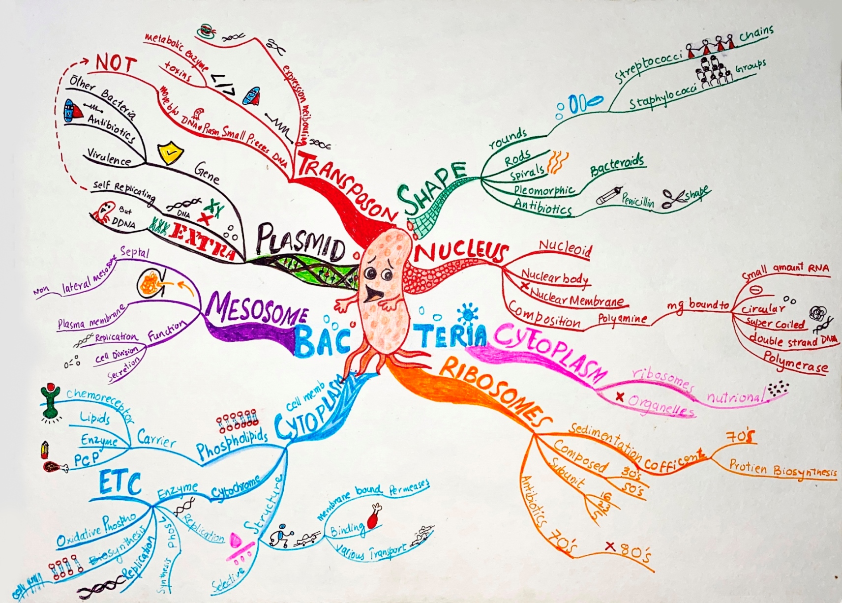Appearing in the USMLE for Medical License in the US