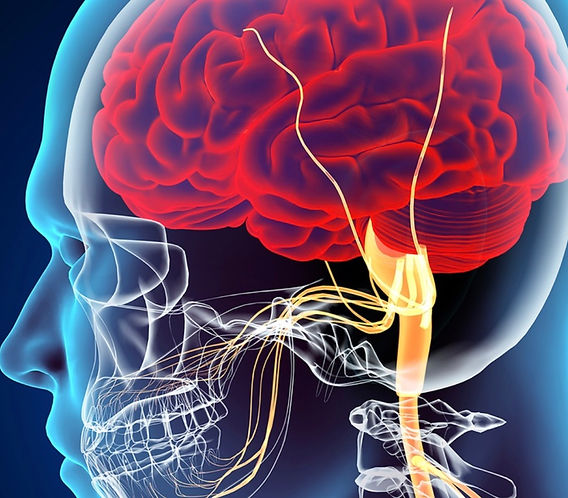 activating reticular system