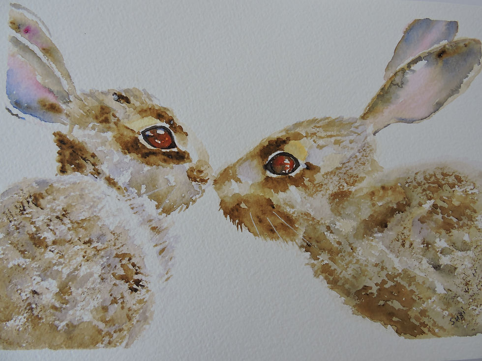 Suzi Wells watercolours of animals, birds and flowers