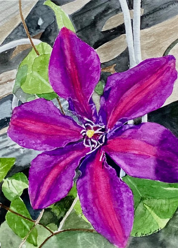 Mrs. N. Thompson | Southampton Arts