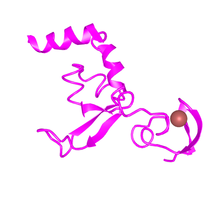 Protein Structure | Hxpa