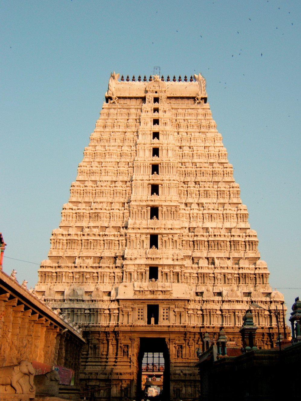 Become a Member-Temple | Ghtn America