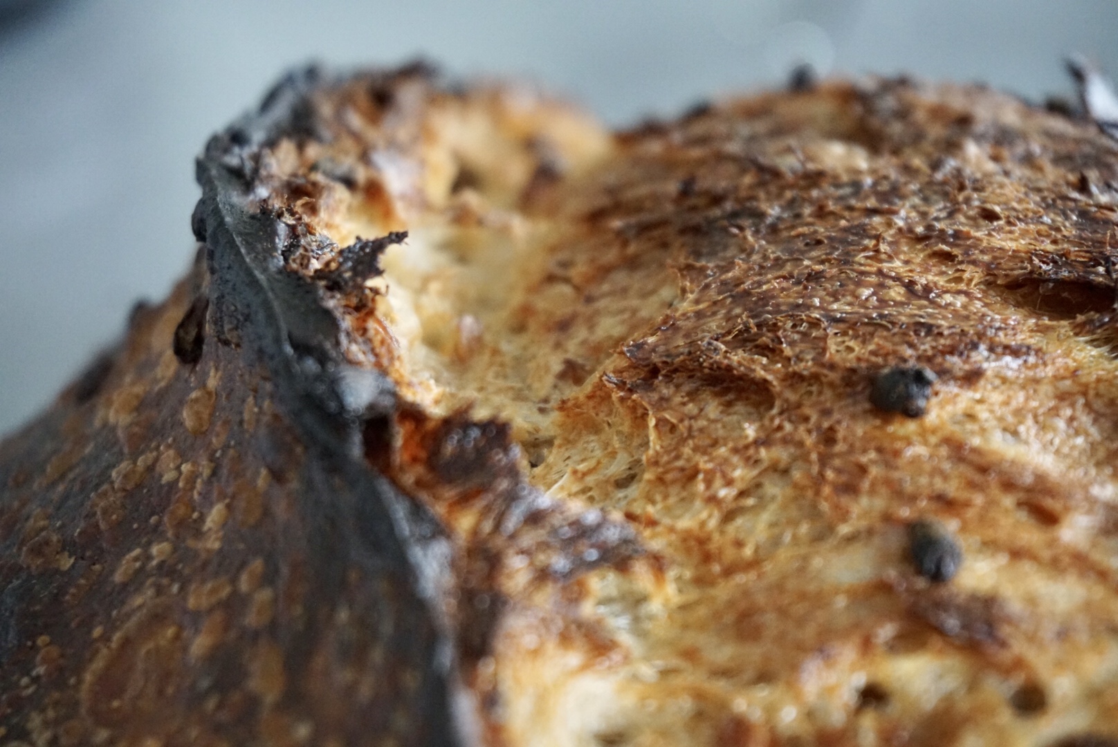 Sourdough Bread With Cooked Farro