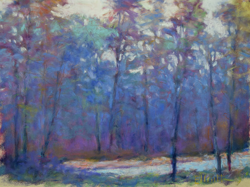 Soft Forest Cool, pastel on sanded paper, 12 x 16 inches | Ken Elliott