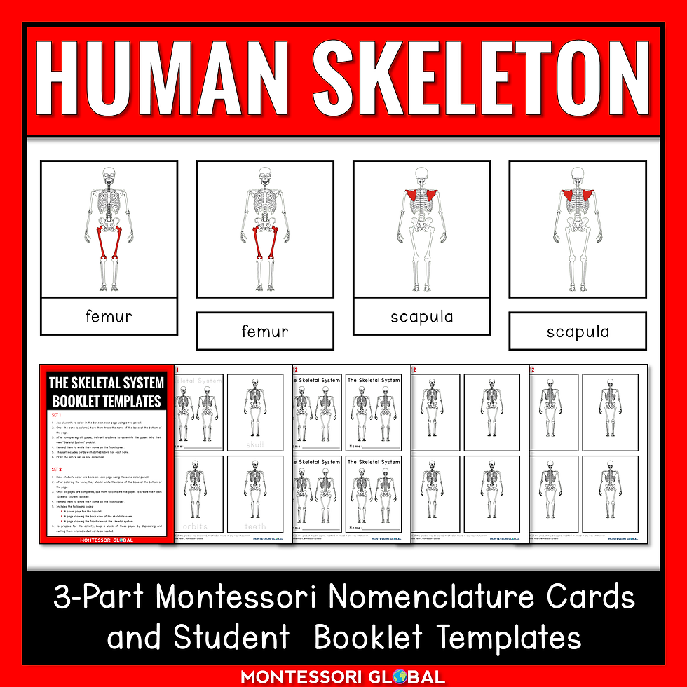 Montessori Materials | Montessori Global