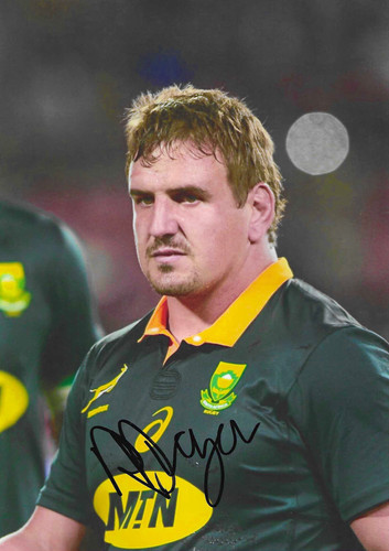 Ruan Dreyer - Lions & South Africa Rugby - Signed A4 Photo | L.E Star ...