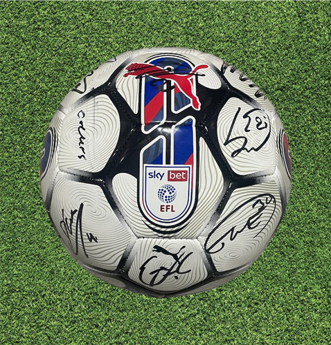 Cardiff City - Squad Signed x 21 - 2023/24 Efl Ball - COA | L.E Star ...