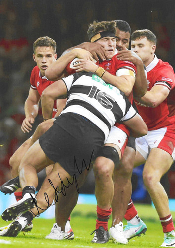 Teddy Williams - Wales Rugby - Cardiff Blues - Signed A4 Photo | L.E ...
