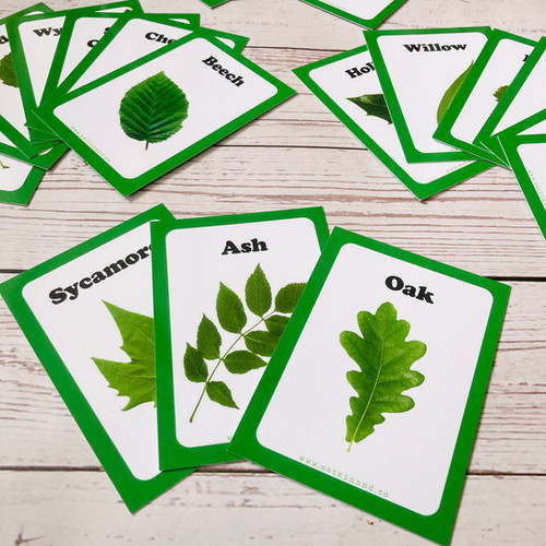 Double Pack - Tree Leaf Identification Cards | Catkin & co