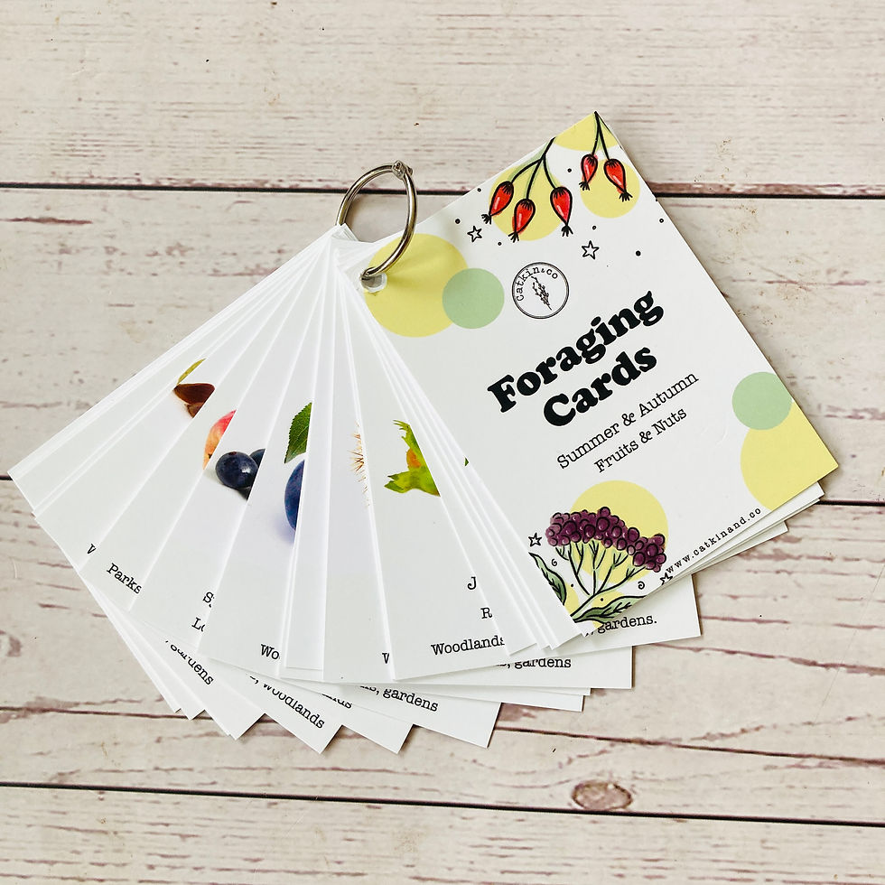Foraging Flashcards - with keyring | Catkin & co