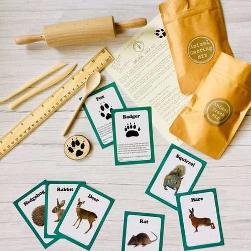 Animal Tracking Cards download | Catkin & co
