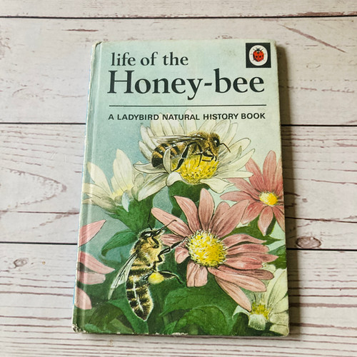Vintage Ladybird Book -Honey Bee | Catkin & co