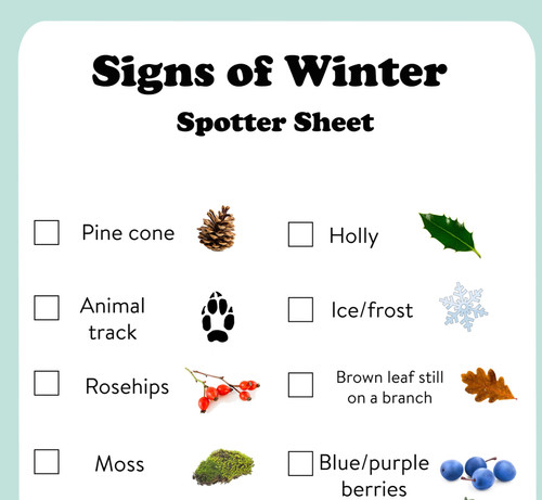 Signs of Winter | Catkin & co