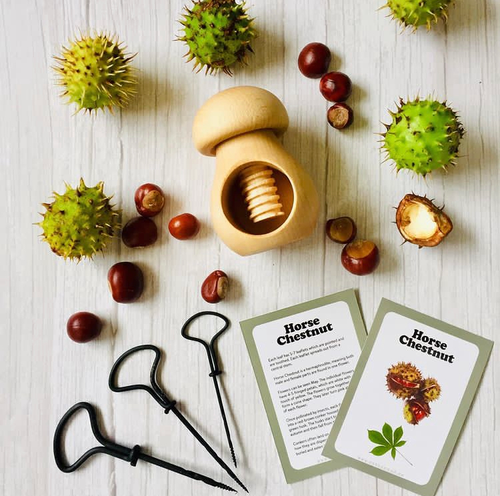 Conker Clamp Set with cards. | Catkin & co