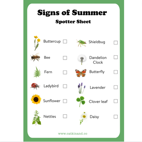 Signs of Summer Spotter Sheet | Catkin & co