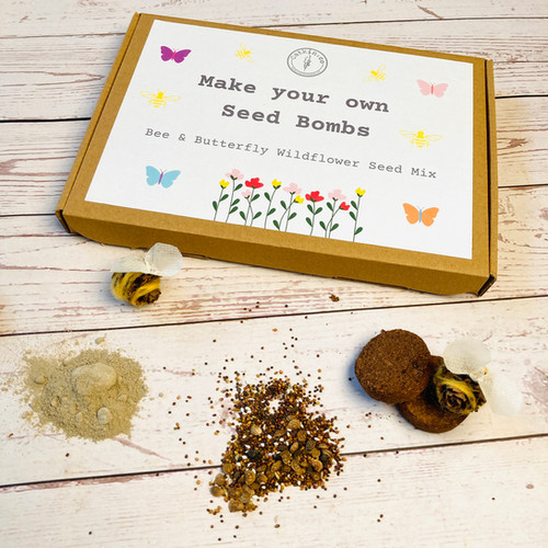 Seed Bomb Kit - Bee & Butterfly Wildflower mix | Catkin & co