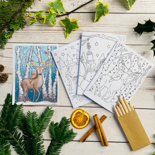 Colour your own Christmas Card Pack | Catkin & co