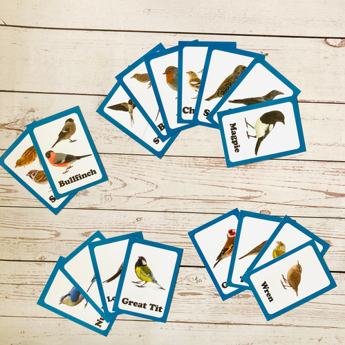 Garden Birds Discovery Cards | Catkin & co