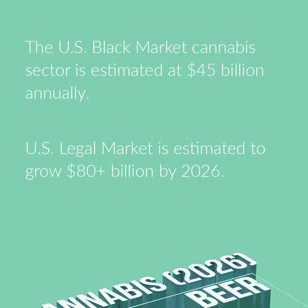Cannabis Infographic Design | The Hood Collective