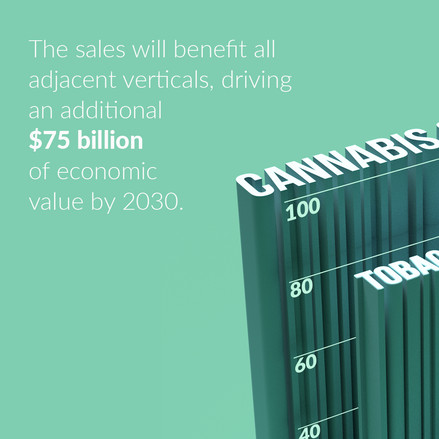 Cannabis Infographic Design | The Hood Collective