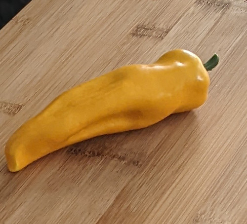 Fake Yellow Long Pepper | Fake Food Australia