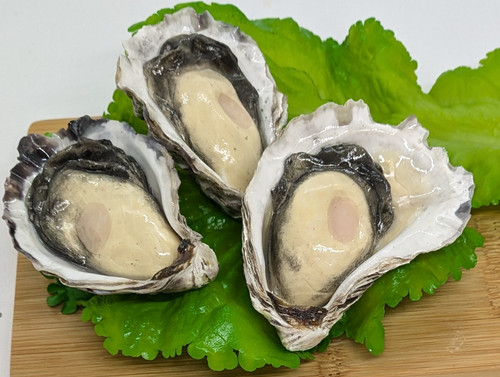 Fake Oysters on the Half Shell (3 Oysters to a Set) | Fake Food Australia