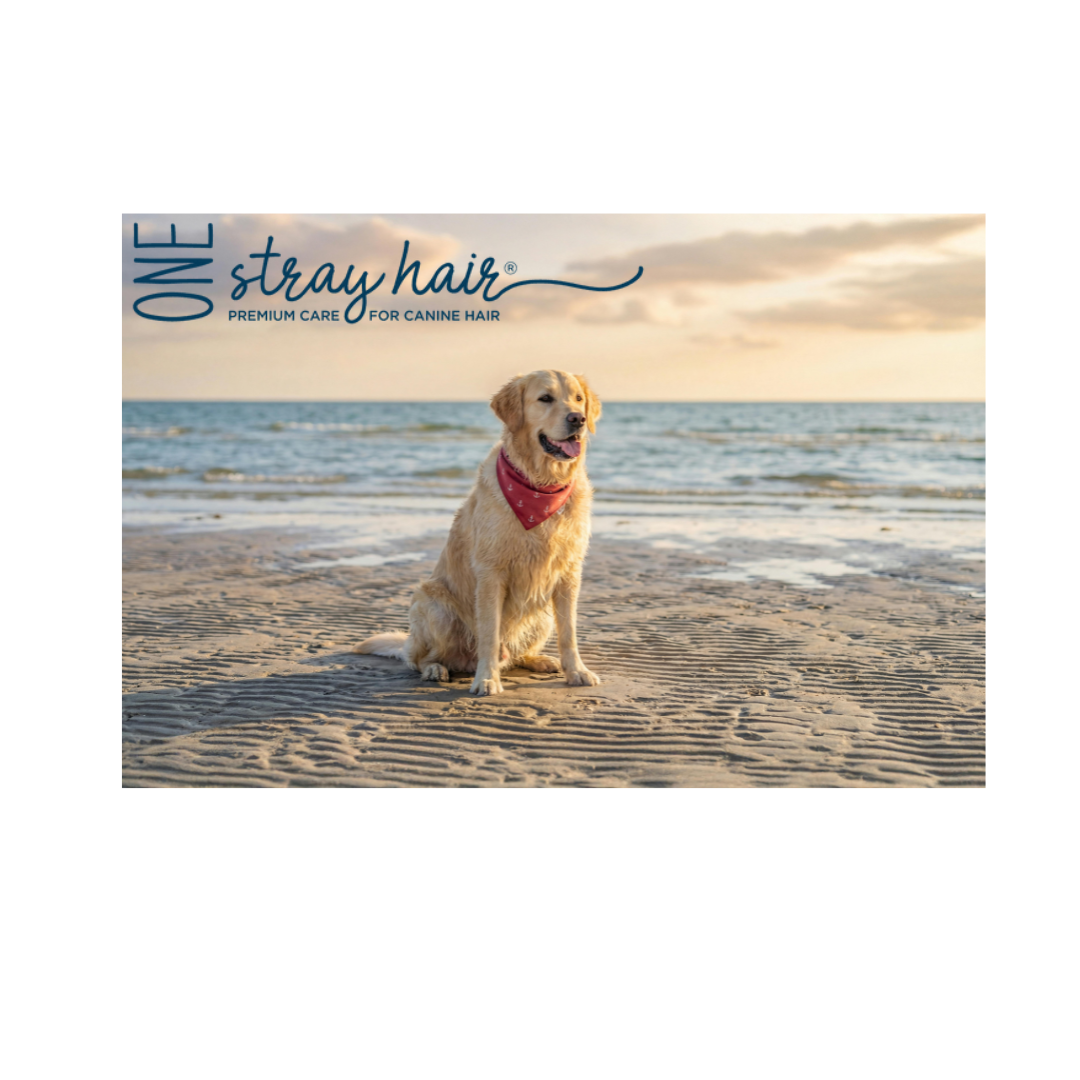 Double Coat | One Stray Hair