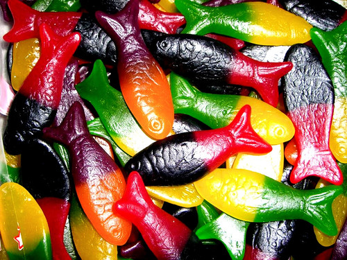 Rainbow Fish | Tozzies Online Store