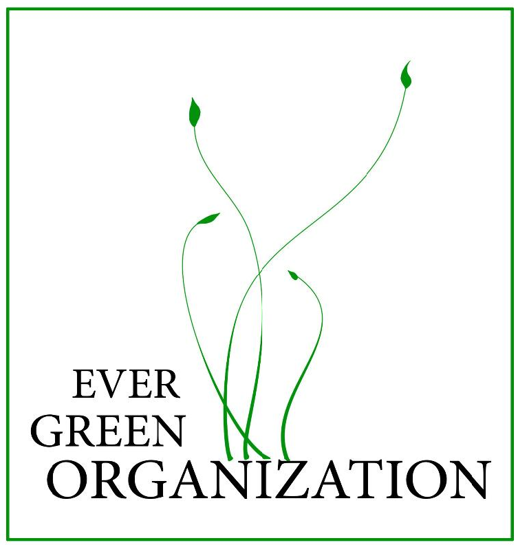 Evergreen Organization - Jordan