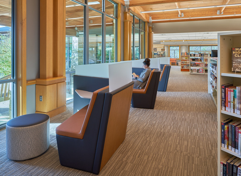 ROOSEVELT THOMPSON LIBRARY | Projects | AMR Architects