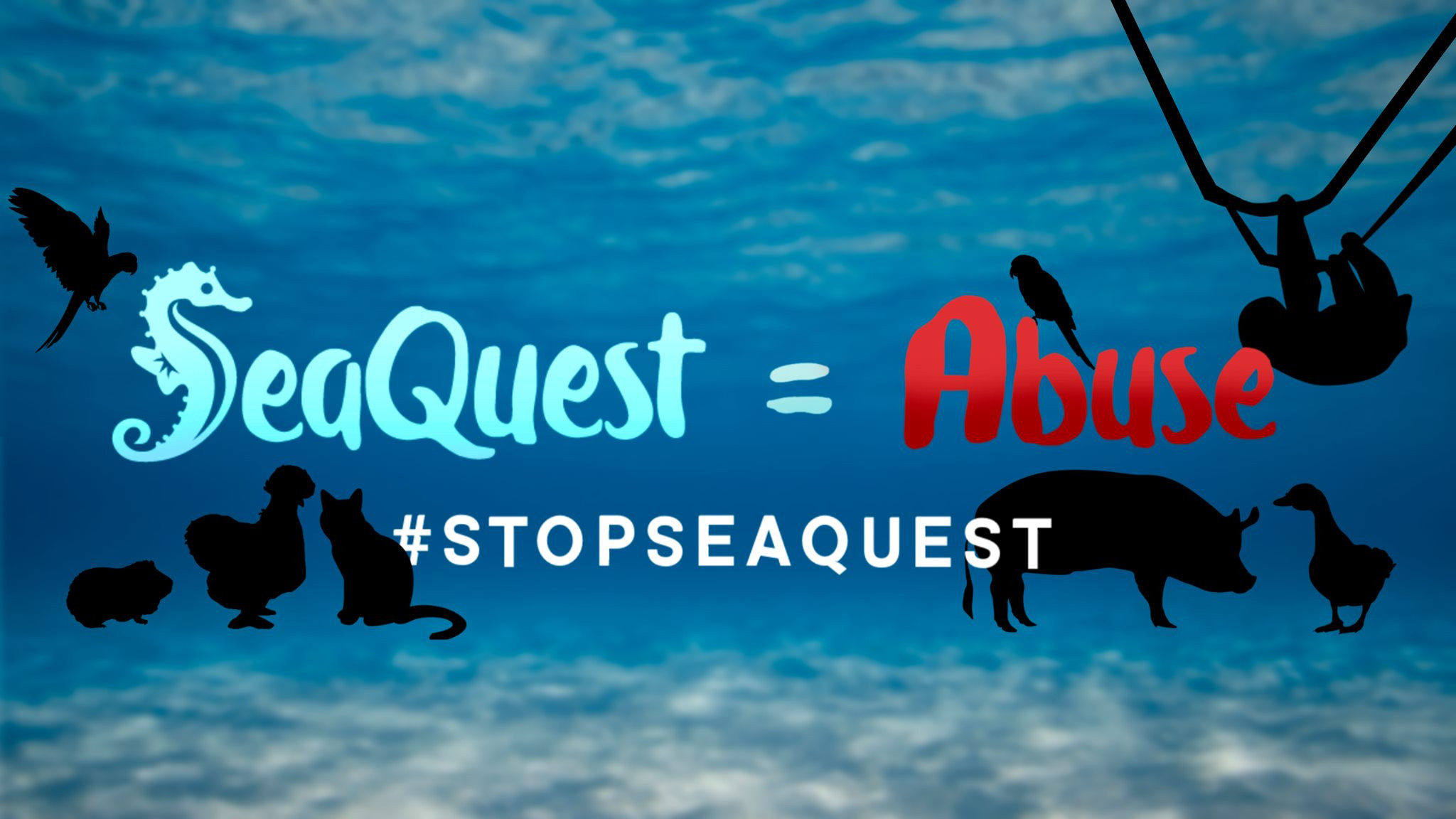 Animal Abuse | Stop SeaQuest