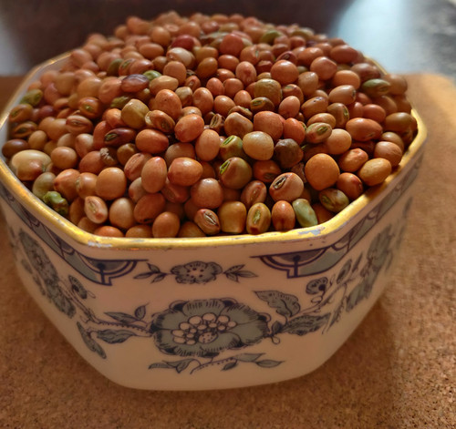 Super Food of Uttarakhand - Organically grown Pahadi Toor Dal ...