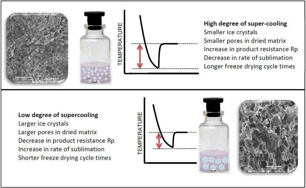 Adoption of Controlled Ice Nucleation Technology