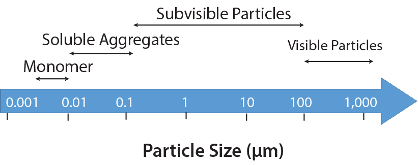 Inspection of Lyophilized Products: What is visual inspection and why ...
