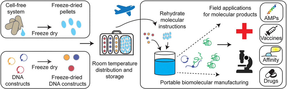Lyophilization: The Key to Portable Biomolecular Manufacturing