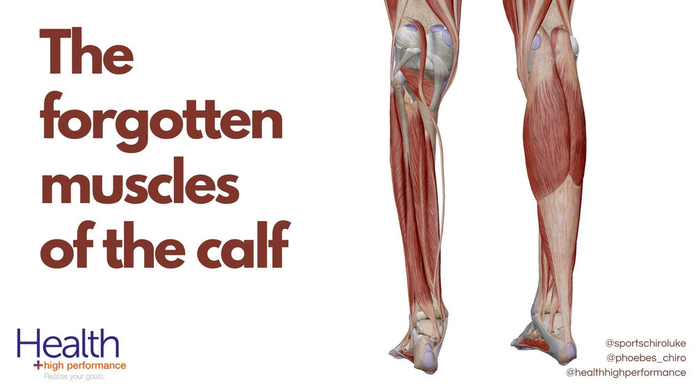 The forgotten muscles of the calf....