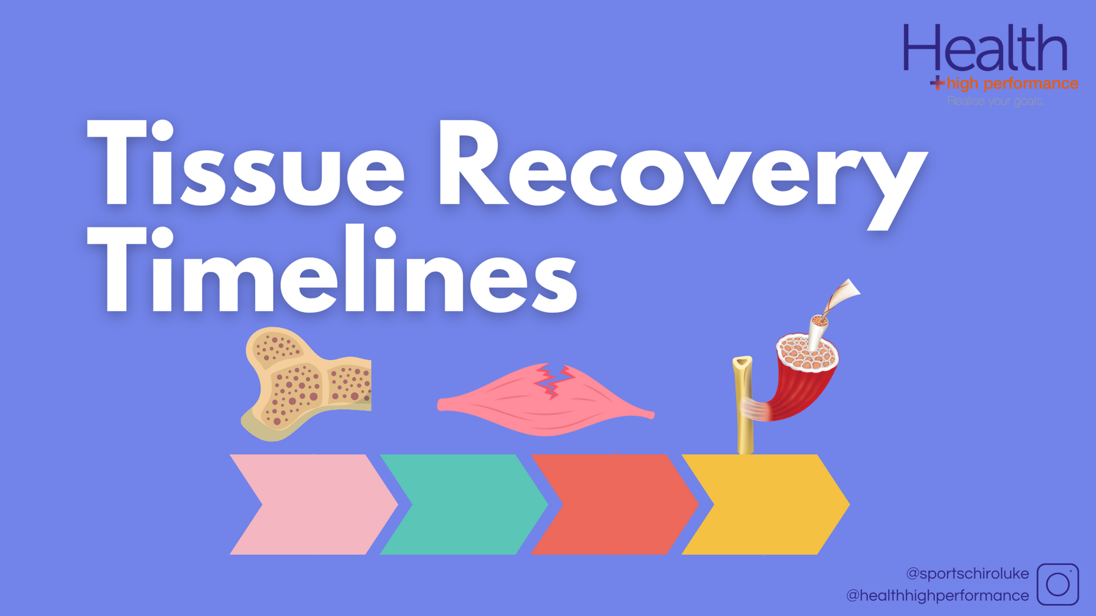 Tissue Recovery Timelines