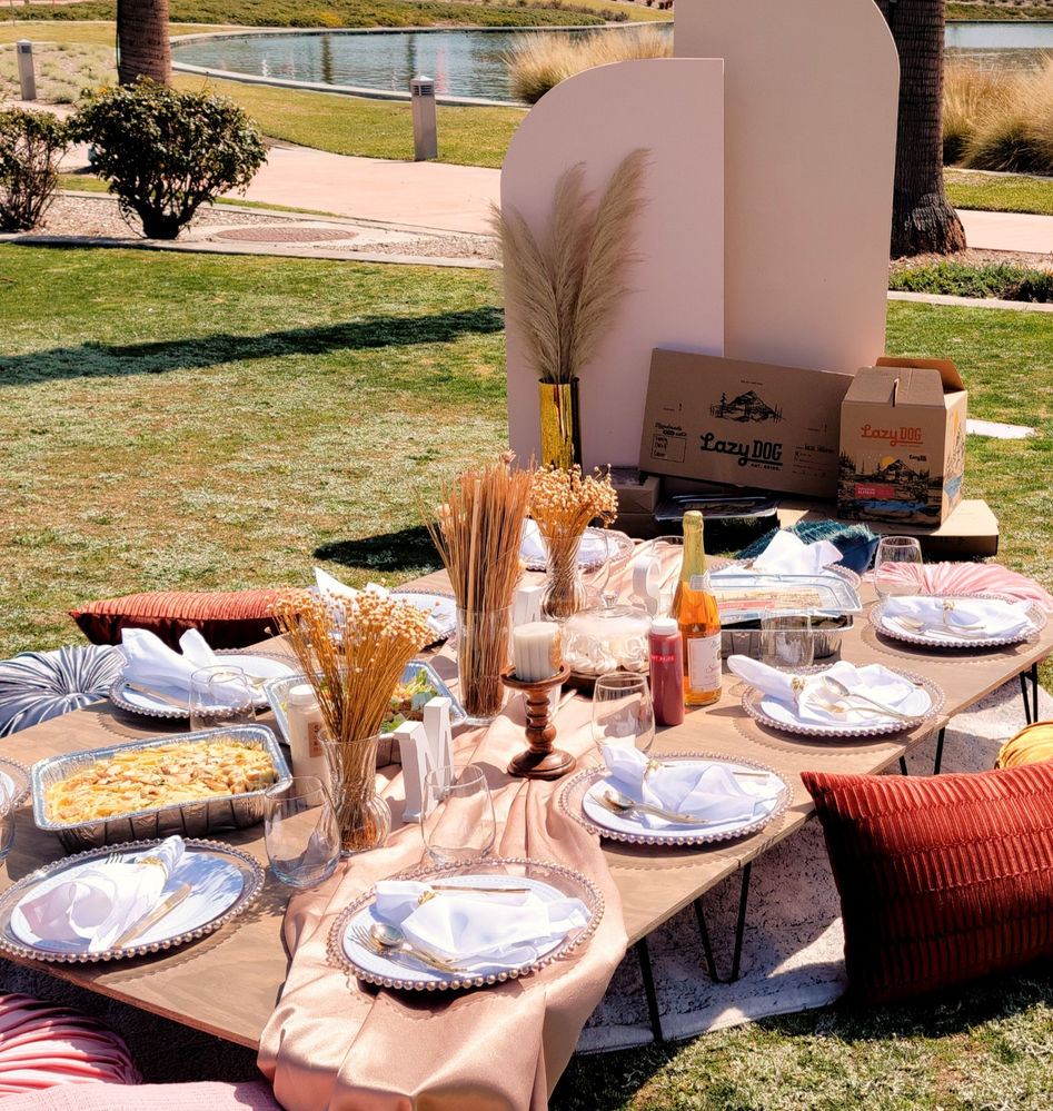 Have yourself an Elegant Picnic at the park made easy