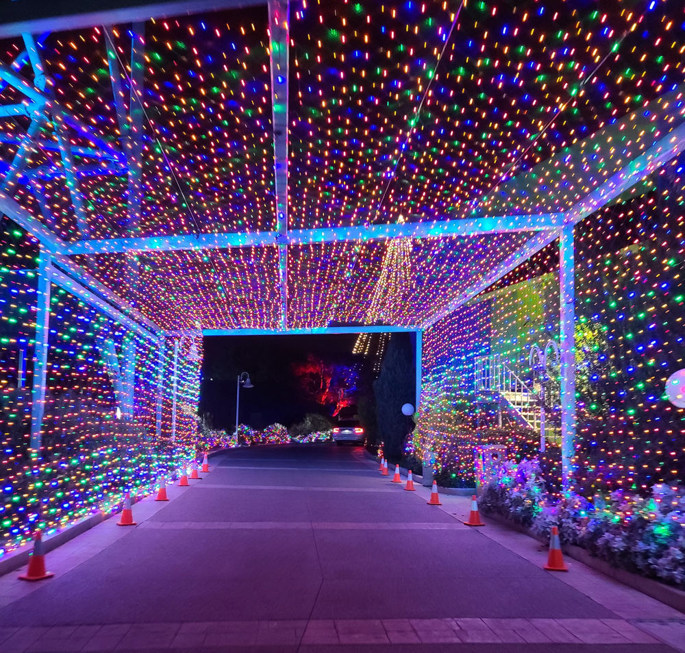 SeaWorld San Diego Sesame Street's Parade of Lights
